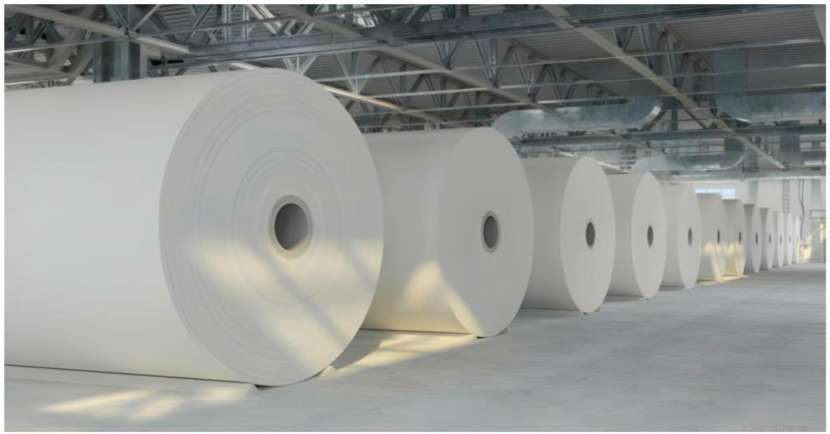 Insight Report of Pulp and Paper Industry in Indonesia 2025 - Skylight